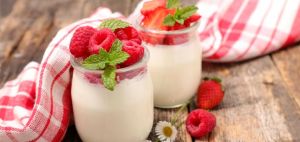 Hemp Seed Yogurt With Berries - Dherbs - The Best All Natural Herbal ...