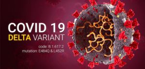 How Dangerous Is The More Contagious Delta Variant? - Dherbs.com